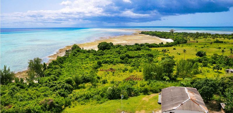 Pemba Island Guide | Best Pemba Island Guide